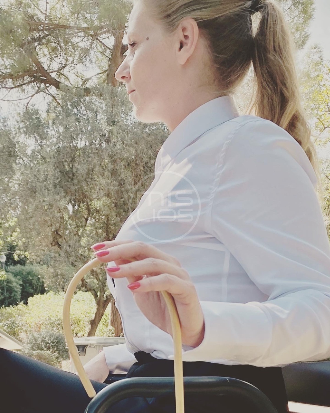 Mistress Henriette | Mislios